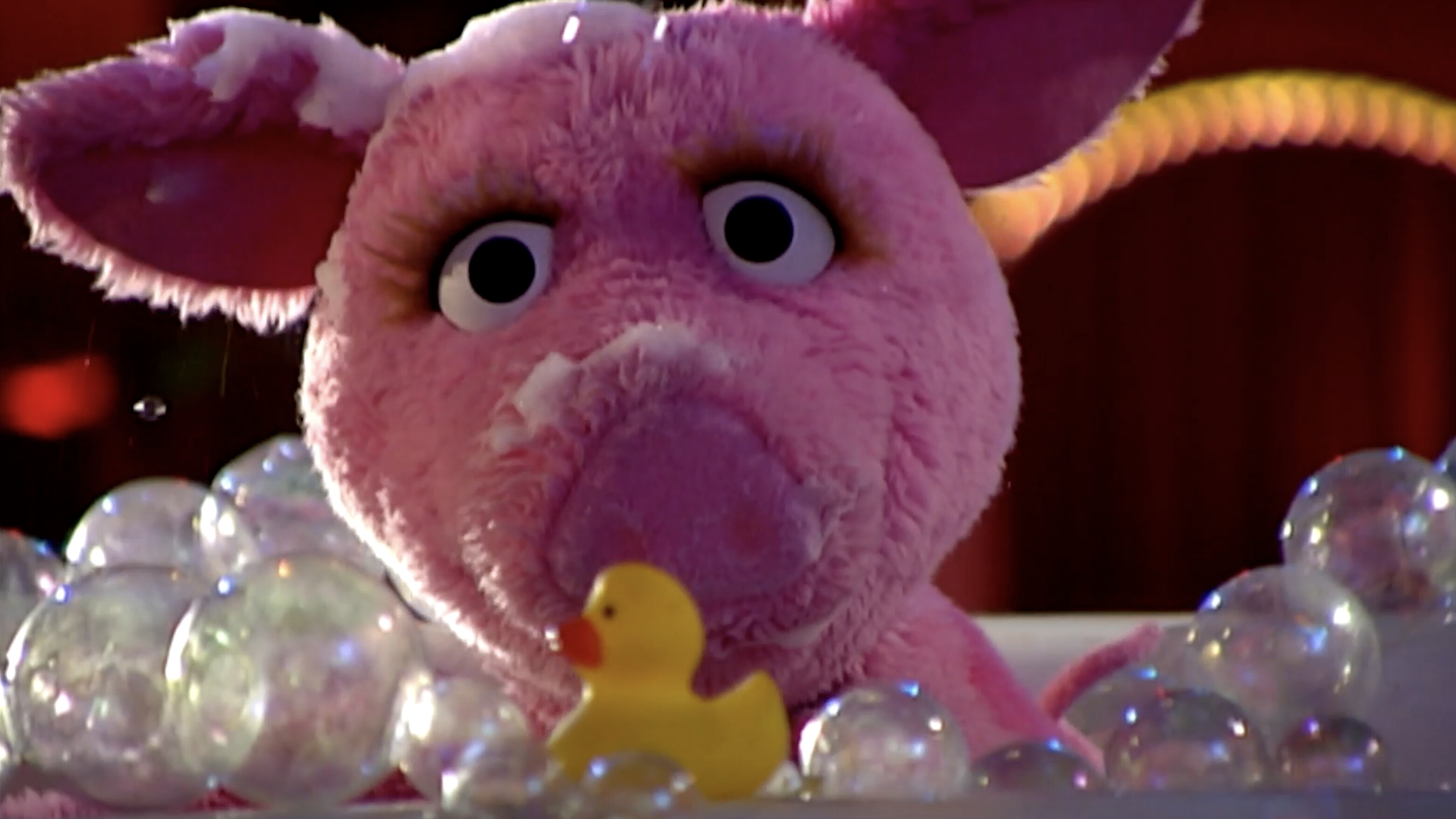 Schooltv: Purks badlied - Liedje uit Sesamstraat