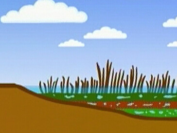 Schooltv: Ontstaan van hoogveen - Dode planten maken nieuwe grond