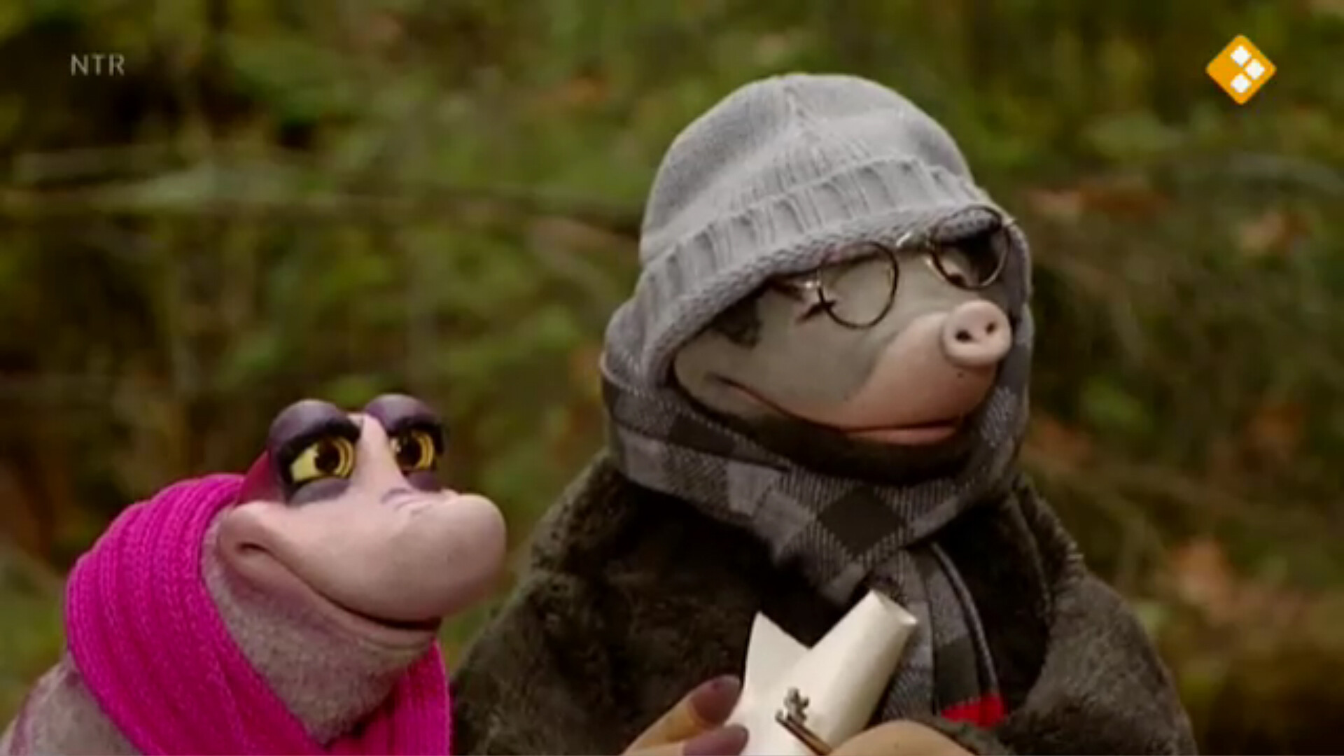 Schooltv: Koekeloere - Zie de maan schijnt