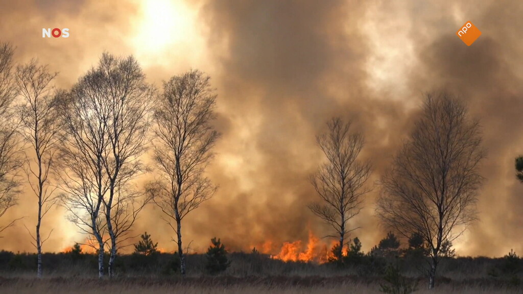 NOS Journaal in Makkelijke Taal gemist? Kijk het hier.