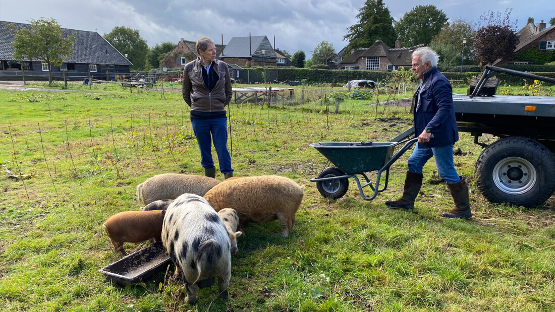 Het Dorp - Het nieuwe boerendorp blaricum - MAX Vandaag