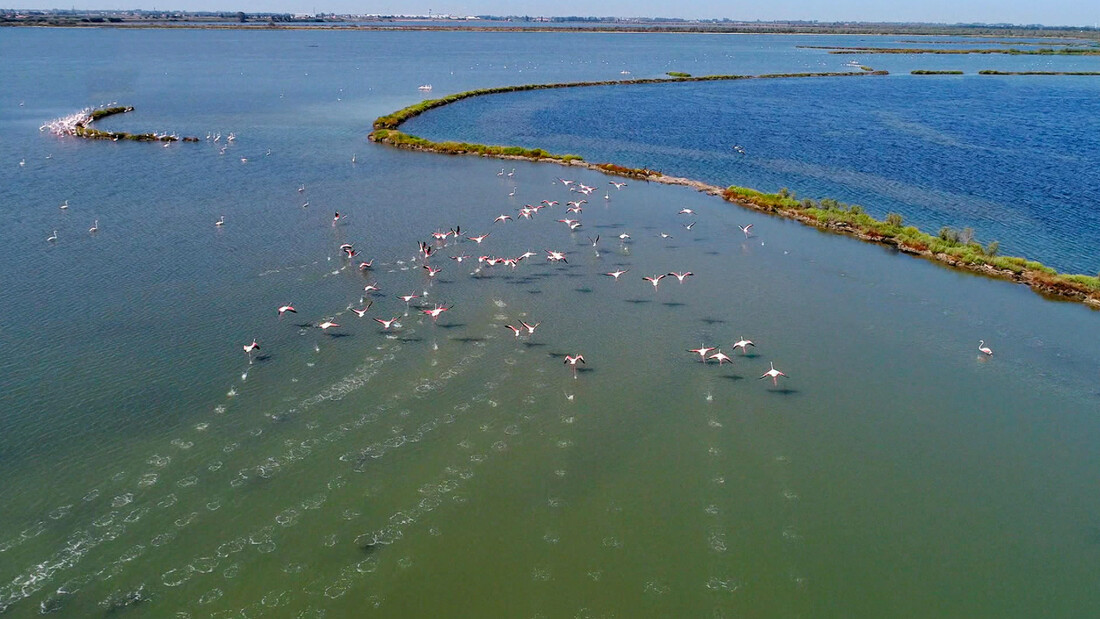 Reizen langs de mooiste rivieren ter wereld - MAX Vandaag