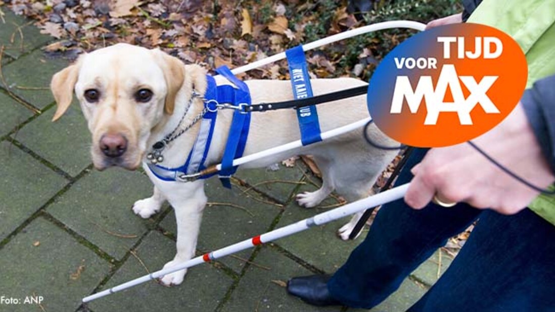 Tijd voor MAX - Blind vertrouwen - MAX Vandaag