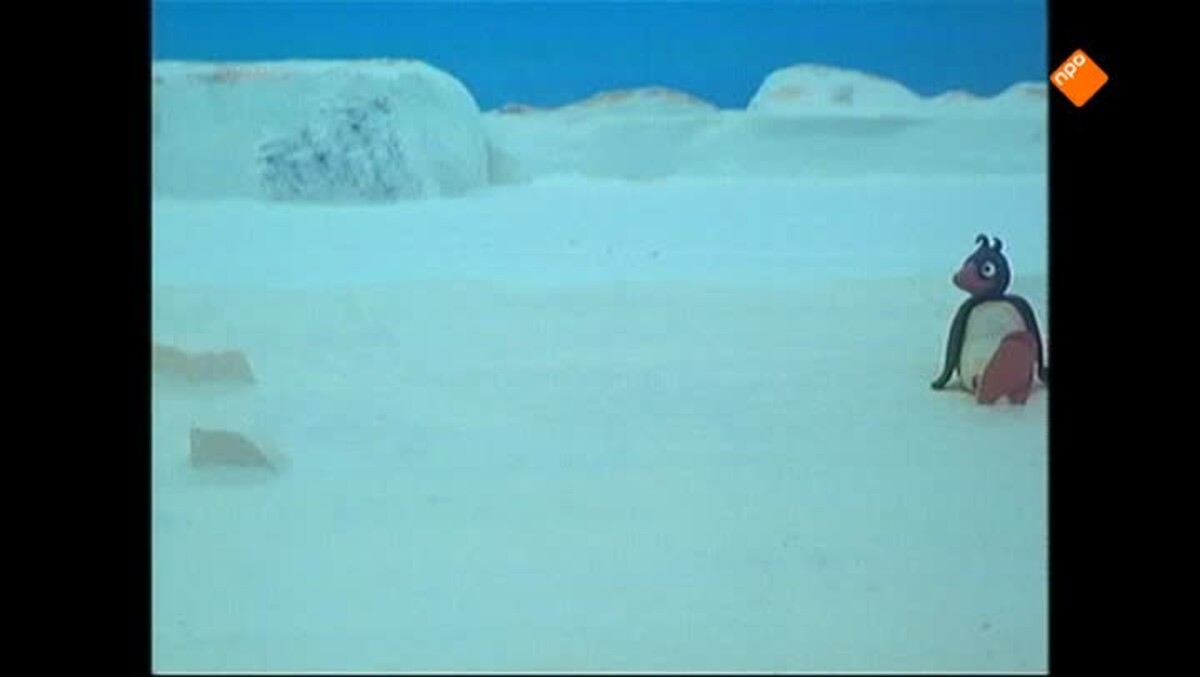 Pingu's circus - Pingu - VPRO