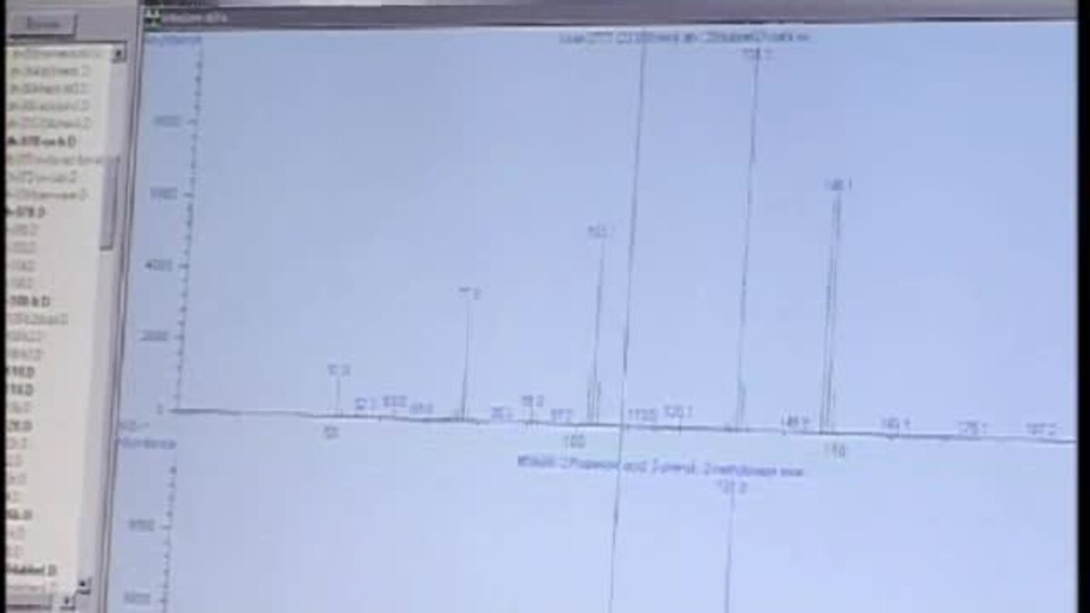 Adams Appel - Hoe groot wordt nanotechnologie? - Nanotechnologie - Ben ...