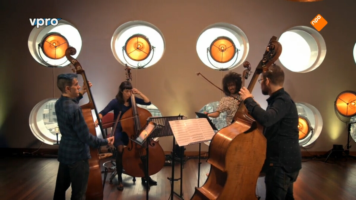 interview en muziek - Dutch Double Bass Festival - VPRO