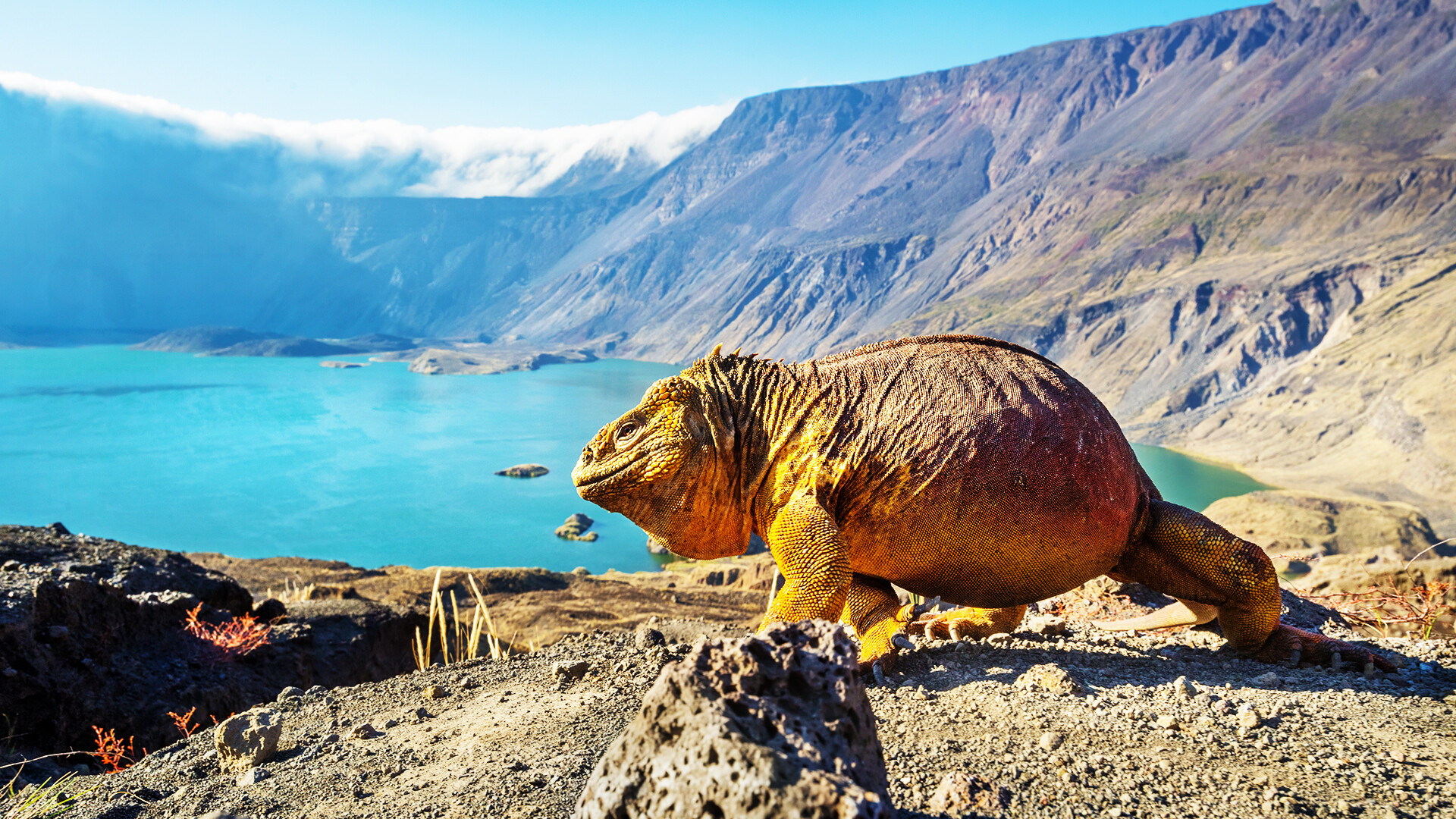 A Perfect Planet: BBC-natuurserie bij de EO - EO