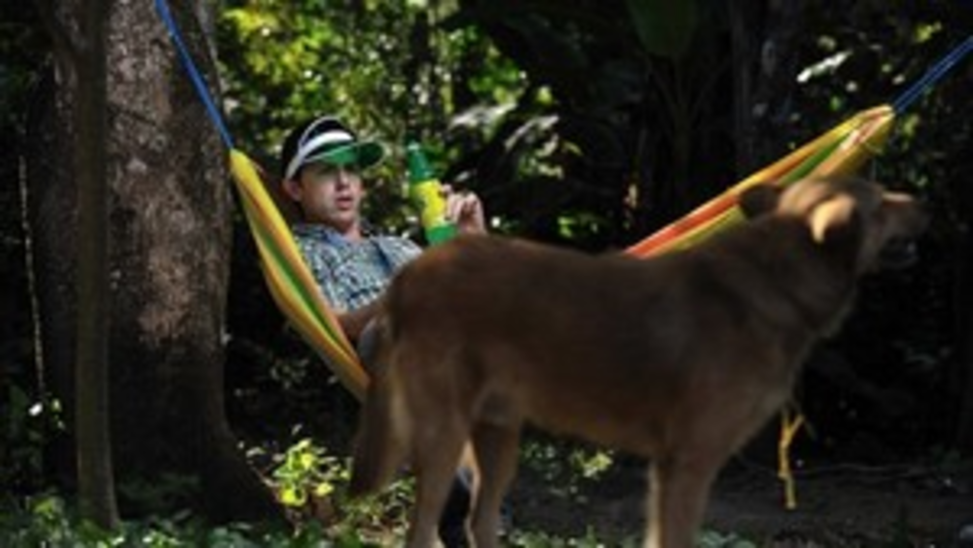 Stefpacking: Seizoen 1 gemist? Terugkijken doe je op npo.nl/npo3