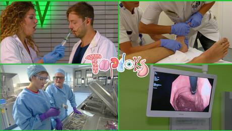 Topdoks - Topdoks - Zapp
