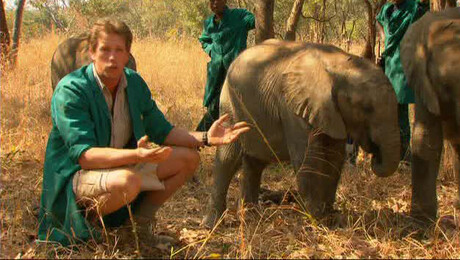 Freek in het wild - Op zoek naar de zweepspin - Zapp