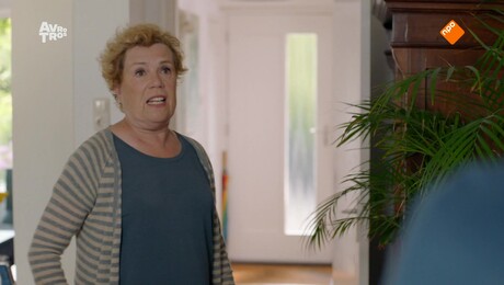 Mees Kees - Gemist - Zapp