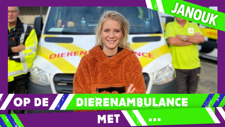 Op de dierenambulance met - Janouk Kelderman - Zapp