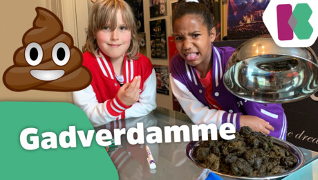 Kinderen voor Kinderen - Steven & Jamie Kazan - Zapp