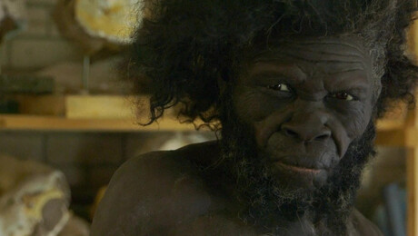 Pieter in de prehistorie - Zapp