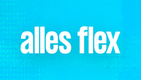 Alles Flex - Zapp