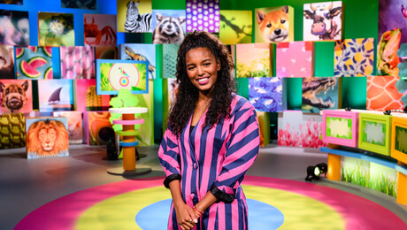 Vandaag op Zapp - Tv kijken - Zapp