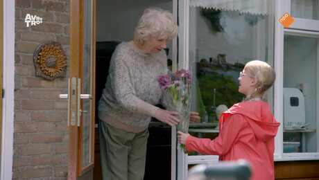 Mees Kees - Vergeten - Zapp