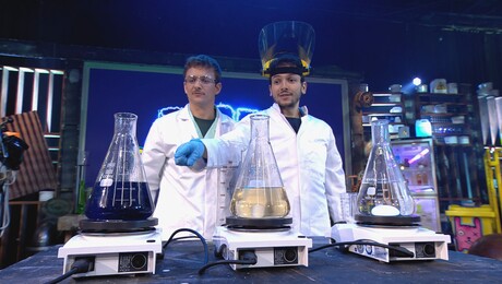 Proefkonijnen - Proefkonijnen - Zapp