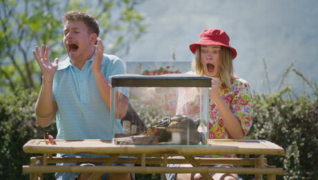 Steken en Prikken - De schorpioen - Zapp