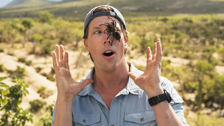 Freeks wilde wereld - Monsters van Mexico - Zapp