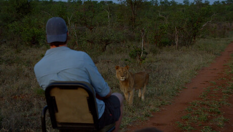Freeks wilde wereld - Spektakel op safari - Zapp