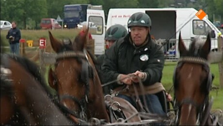 Het Klokhuis - Vierspan - Zapp