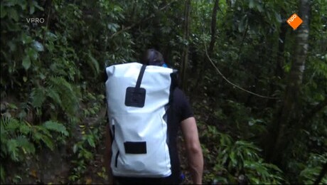 Freek in het wild - Op zoek naar de zweepspin - Zapp