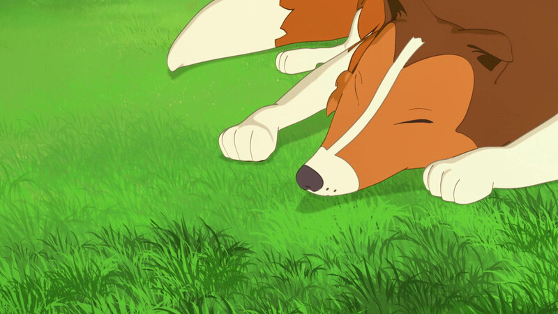 Lassie Animated: De angst onder ogen komen - Lassie - Zappelin