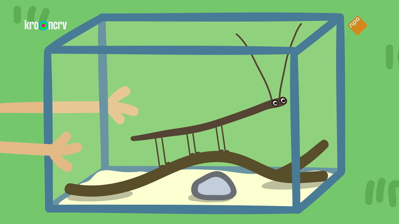 Peppa Pig: Land van de canyons - Peppa Pig - Zappelin