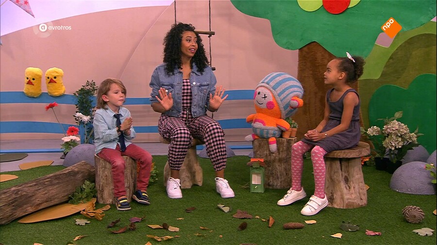 Zin in Zappelin - Zappelin