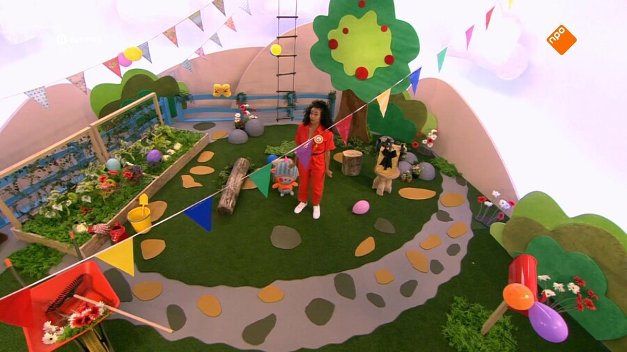 Zin in Zappelin - Zappelin