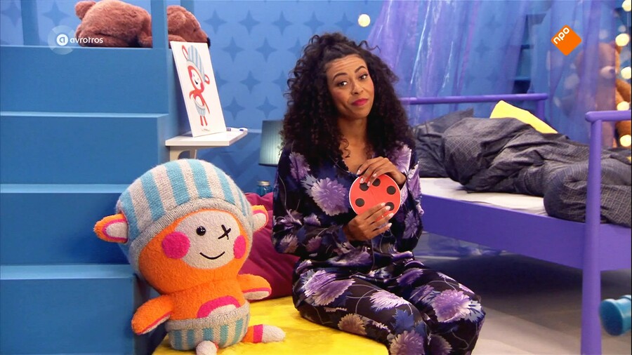 Zin in Zappelin - Zappelin