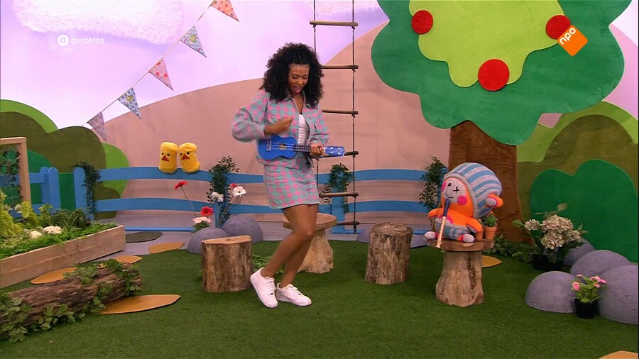 Zin in Zappelin - Zappelin