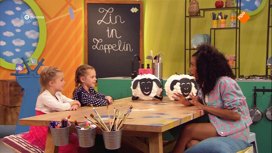 Zin in Zappelin - Zappelin