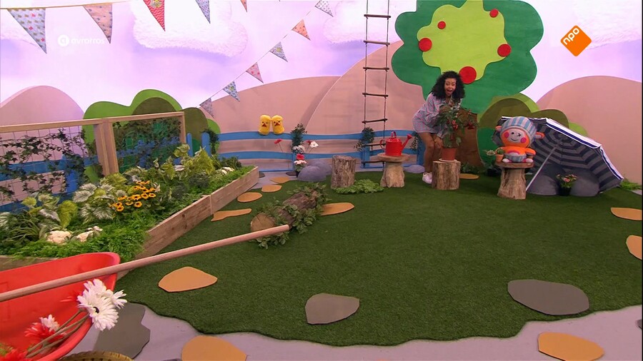 Zin in Zappelin - Zappelin