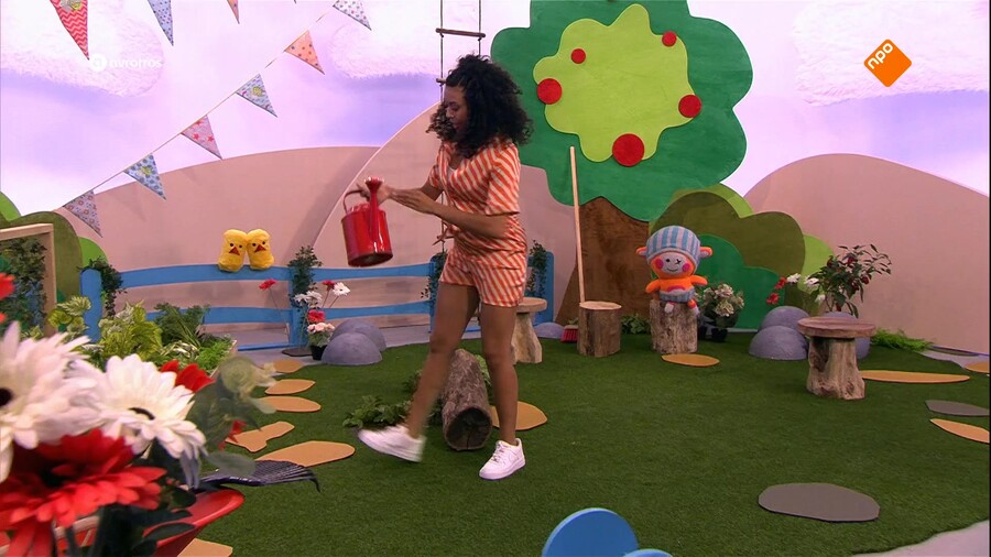 Zin in Zappelin - Zappelin