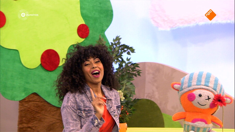 Zin in Zappelin - Zappelin