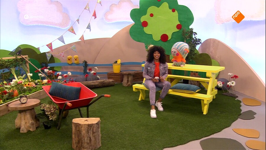 Zin in Zappelin - Zappelin