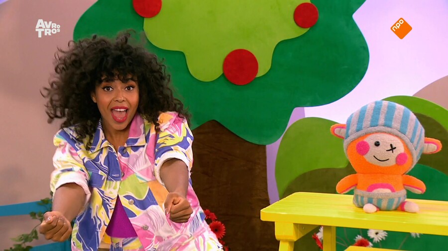 Zin in Zappelin - Zappelin