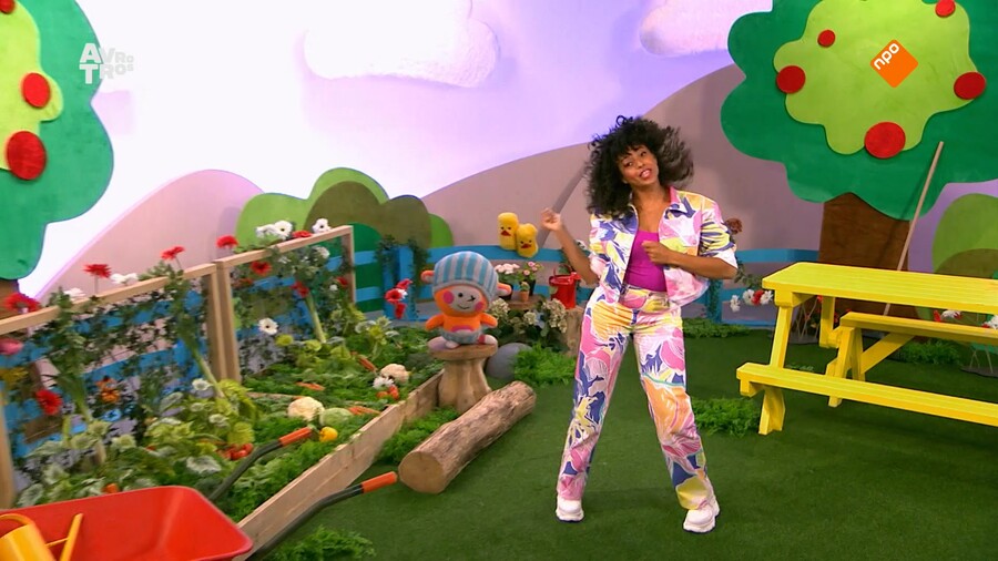 Zin in Zappelin - Zappelin