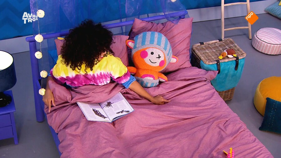 Zin in Zappelin - Zappelin