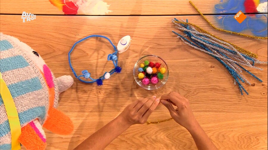 Zin in Zappelin - Zappelin