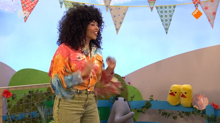 Zin in Zappelin - Zappelin