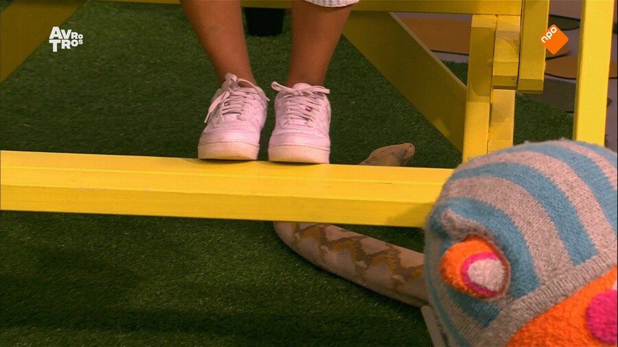 Zin in Zappelin - Zappelin