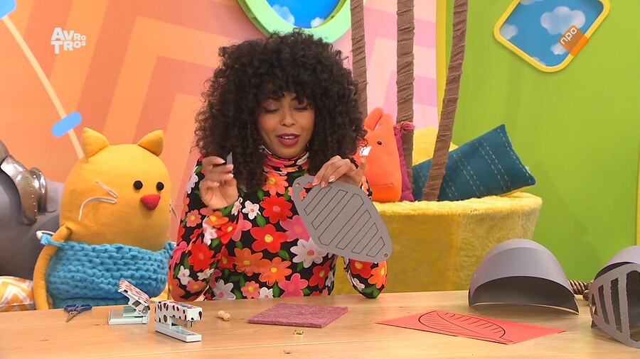 Zin in Zappelin - Zappelin