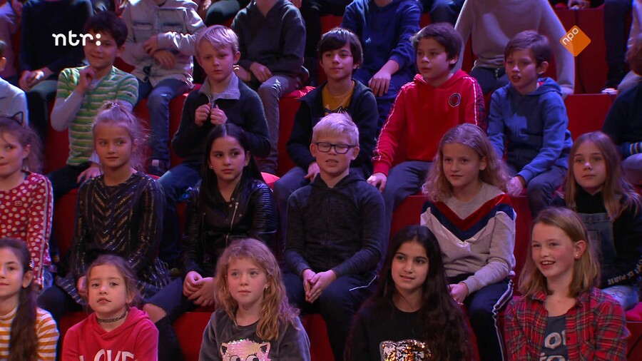 Studio Snugger - Zappelin