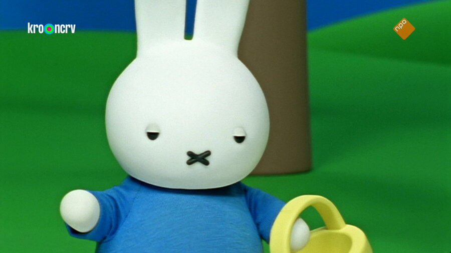 Nijntje en haar vriendjes - Zappelin