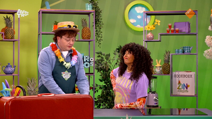 Zin in Zappelin - Zappelin