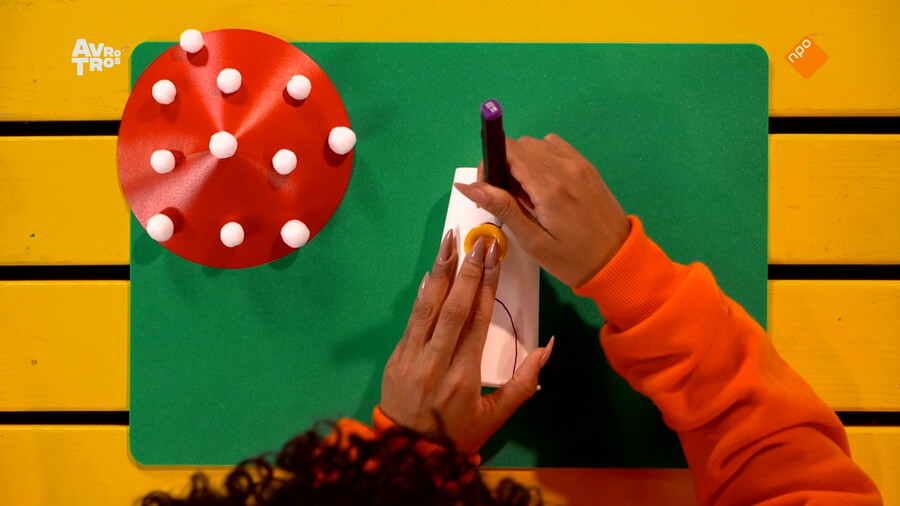 Zin in Zappelin - Zappelin