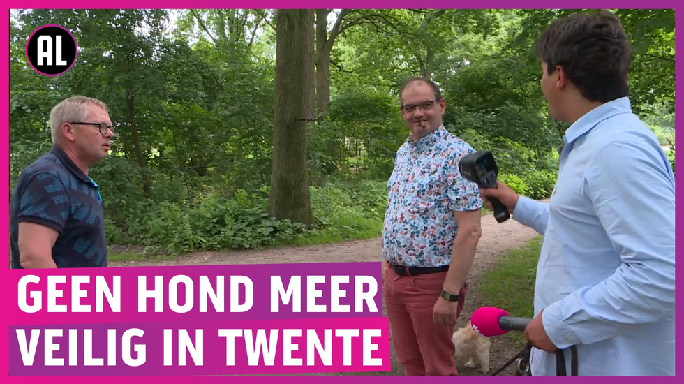 Video - PowNews: Twentse gemeente opent jacht op poepende honden gemist ...